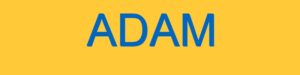 Adam: Cuál es el Significado y Origen del nombre ️