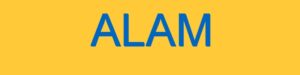 Alam: Cuál es el Significado y Origen del nombre ️