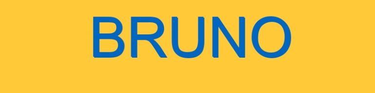 Bruno: Cuál es el Significado y Origen del nombre ️