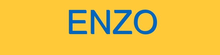 Enzo: Cuál es el Significado y Origen del nombre ️